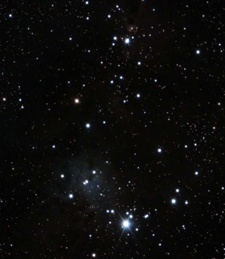 The Christmas Tree Star Cluster | Suburban Backyard Astro Sights